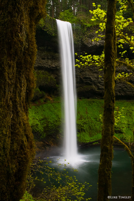 Waterfalls In Salem Oregon